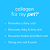 Taily Collagen + Vitamins - Free Shipping Over $50 | Taily