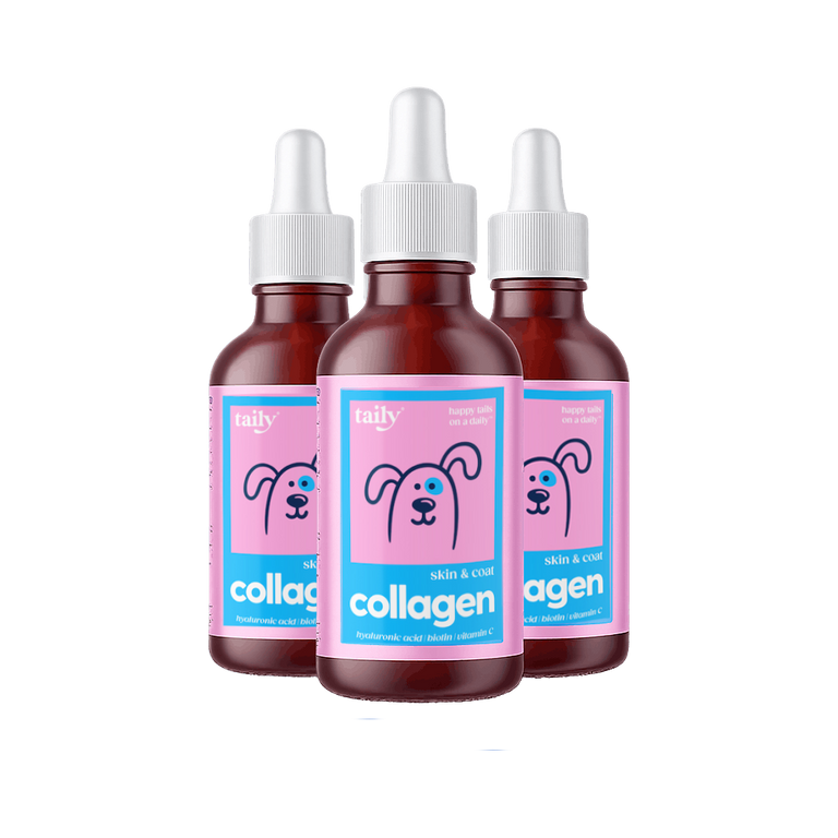 Taily Pet – Premium Dog Supplements for a Healthier, Happier Life